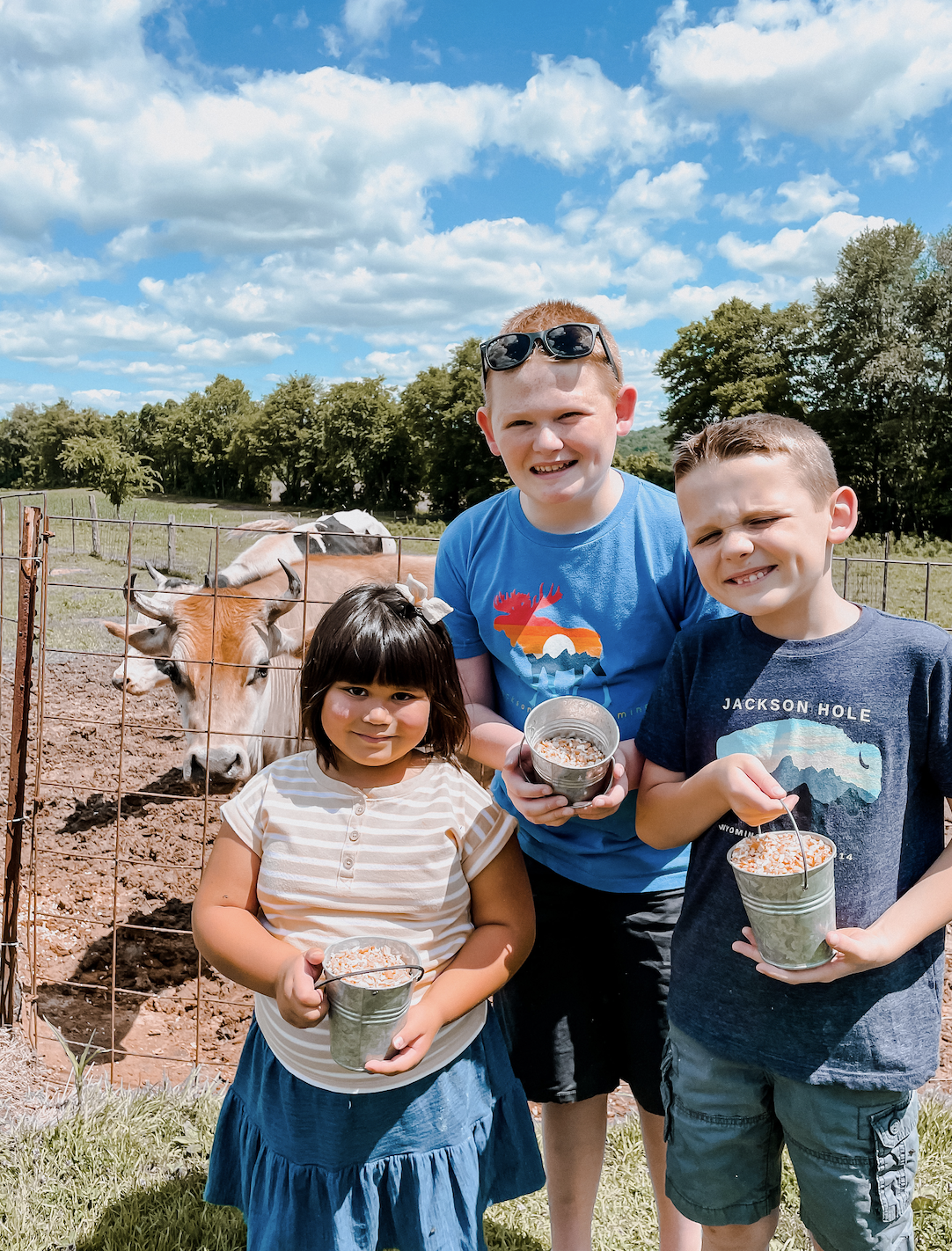 A Morning Well Spent at Christian Way Farm {review} - Meghan Tucker